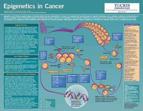 Epigenetics And Cancer